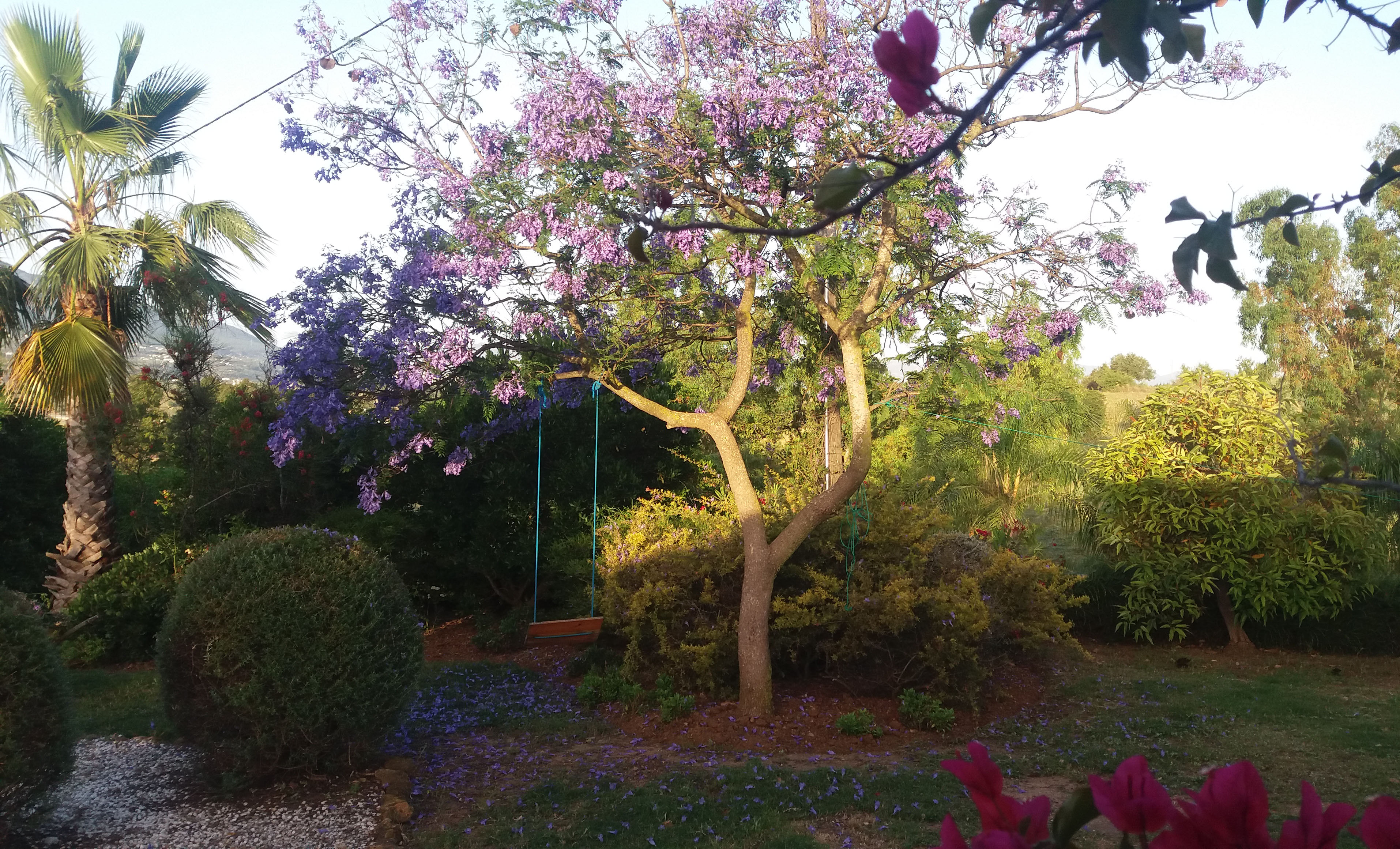 What if we see grief as a swing? | Steun bij Rouw – Support with Grief